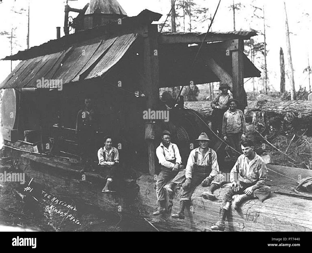 Donkey 1927 hi-res stock photography and images - Alamy