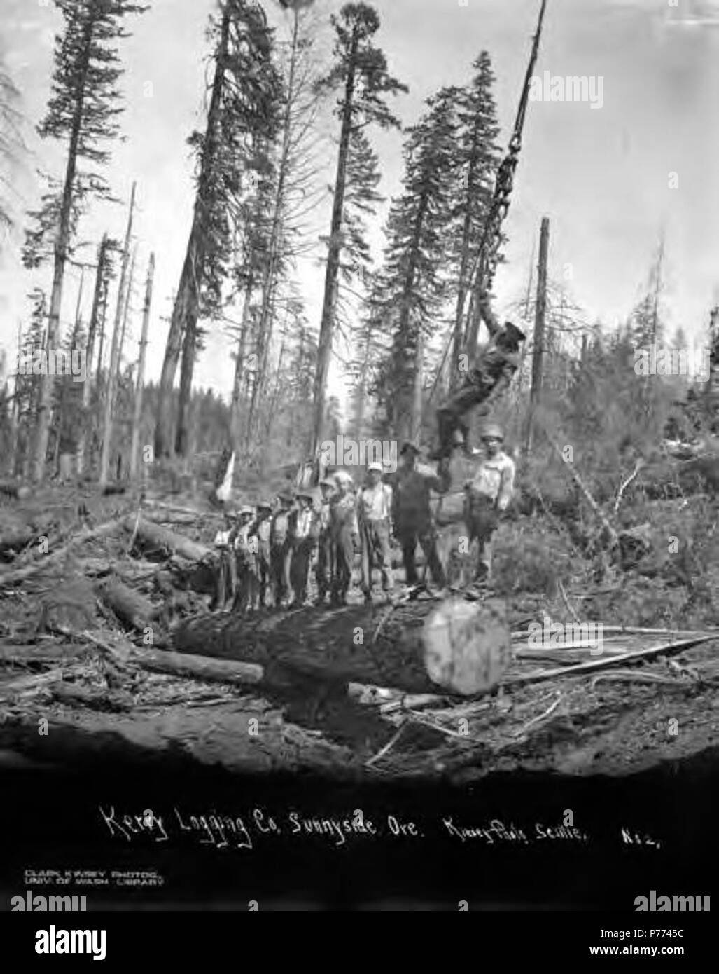 Logging in oregon Black and White Stock Photos & Images - Alamy