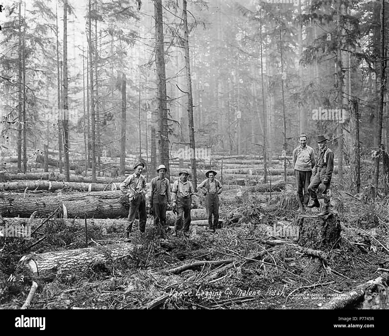 . English: Logging crew in the woods, Vance Lumber Company, near Malone ...