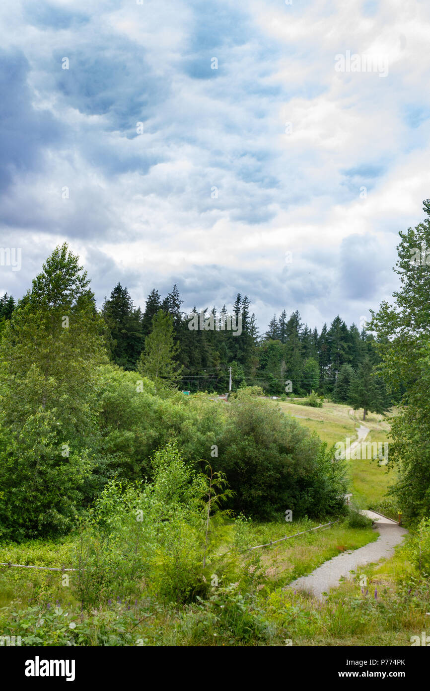 path leading through dense green foliage Stock Photo - Alamy
