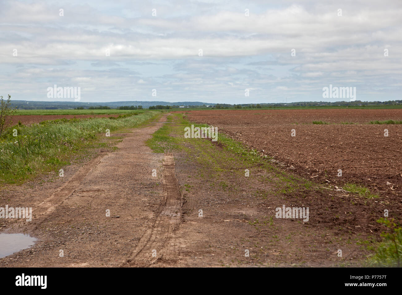 Gravel road through farm fields hi-res stock photography and images - Alamy