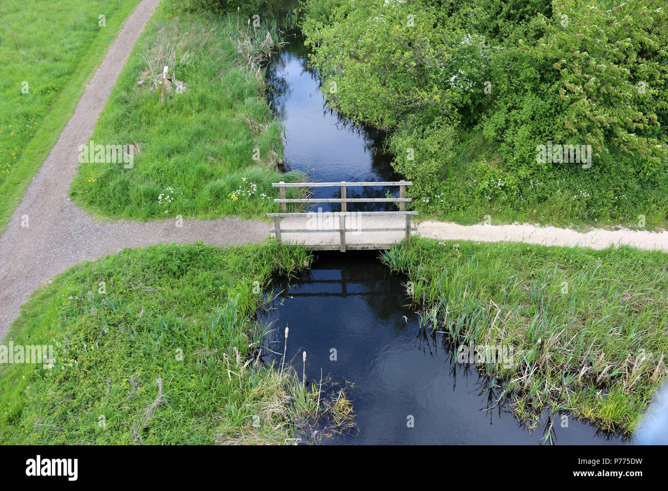 Footpath crossing a stream using a wooden bridge with vegetation either ...