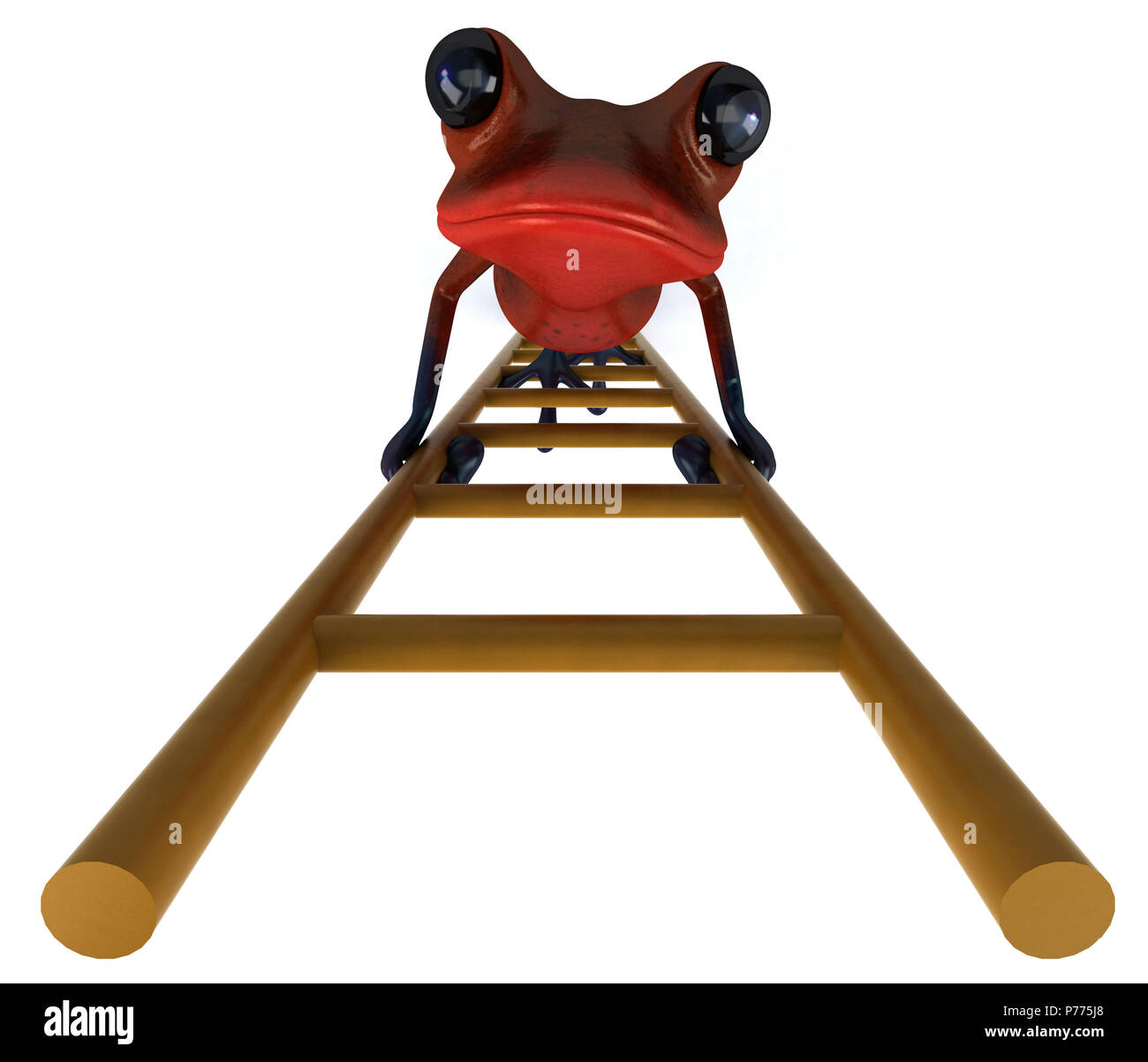Frog ladder Cut Out Stock Images & Pictures - Alamy
