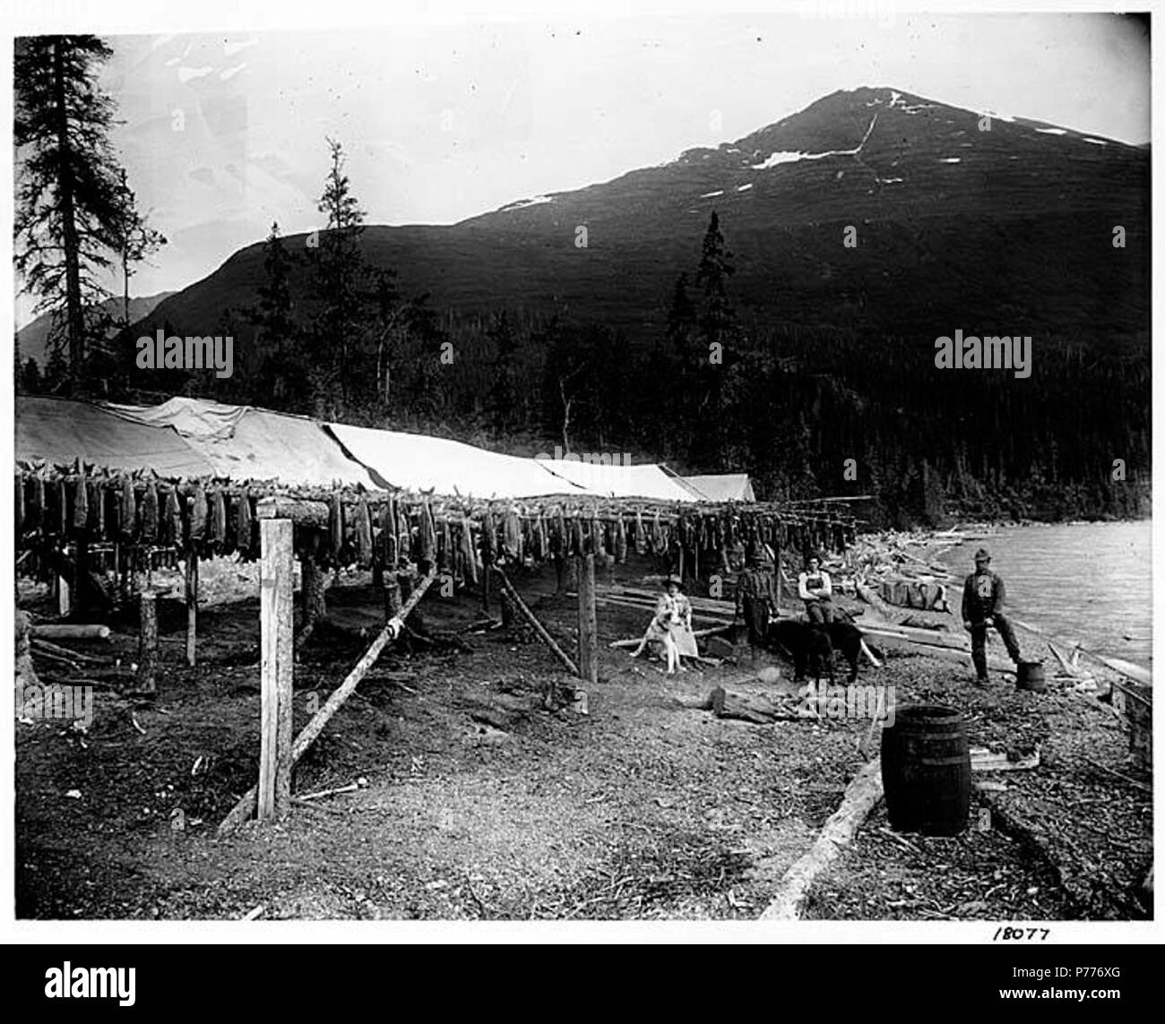 . English: Fish-drying racks on the shores of an unidentified lake, ca ...