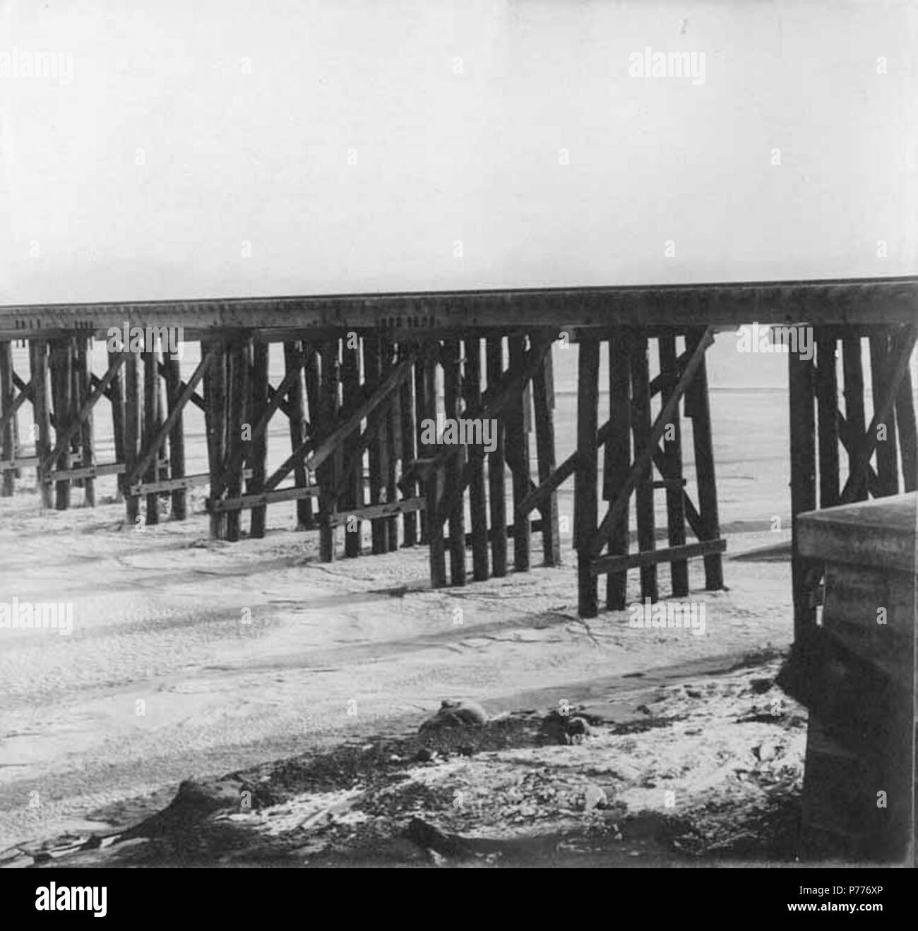 . English: Flag Point Bridge construction over the Copper River, 1908 ...