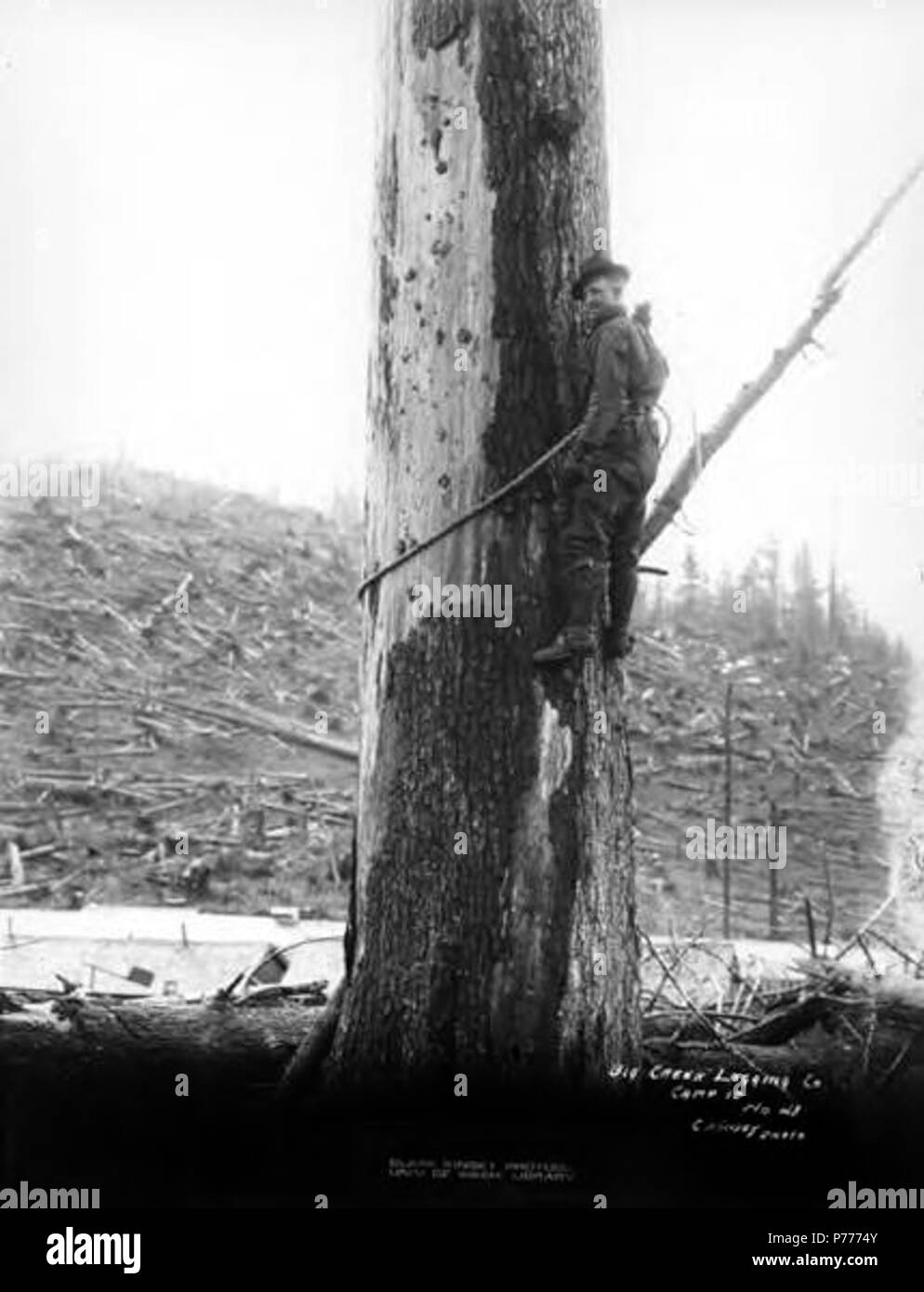 Logging In Oregon Black and White Stock Photos & Images - Alamy