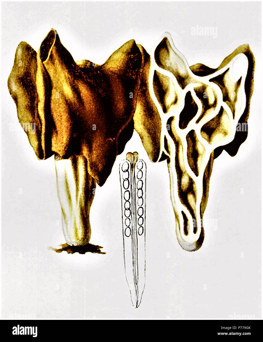 Infula hi-res stock photography and images - Alamy