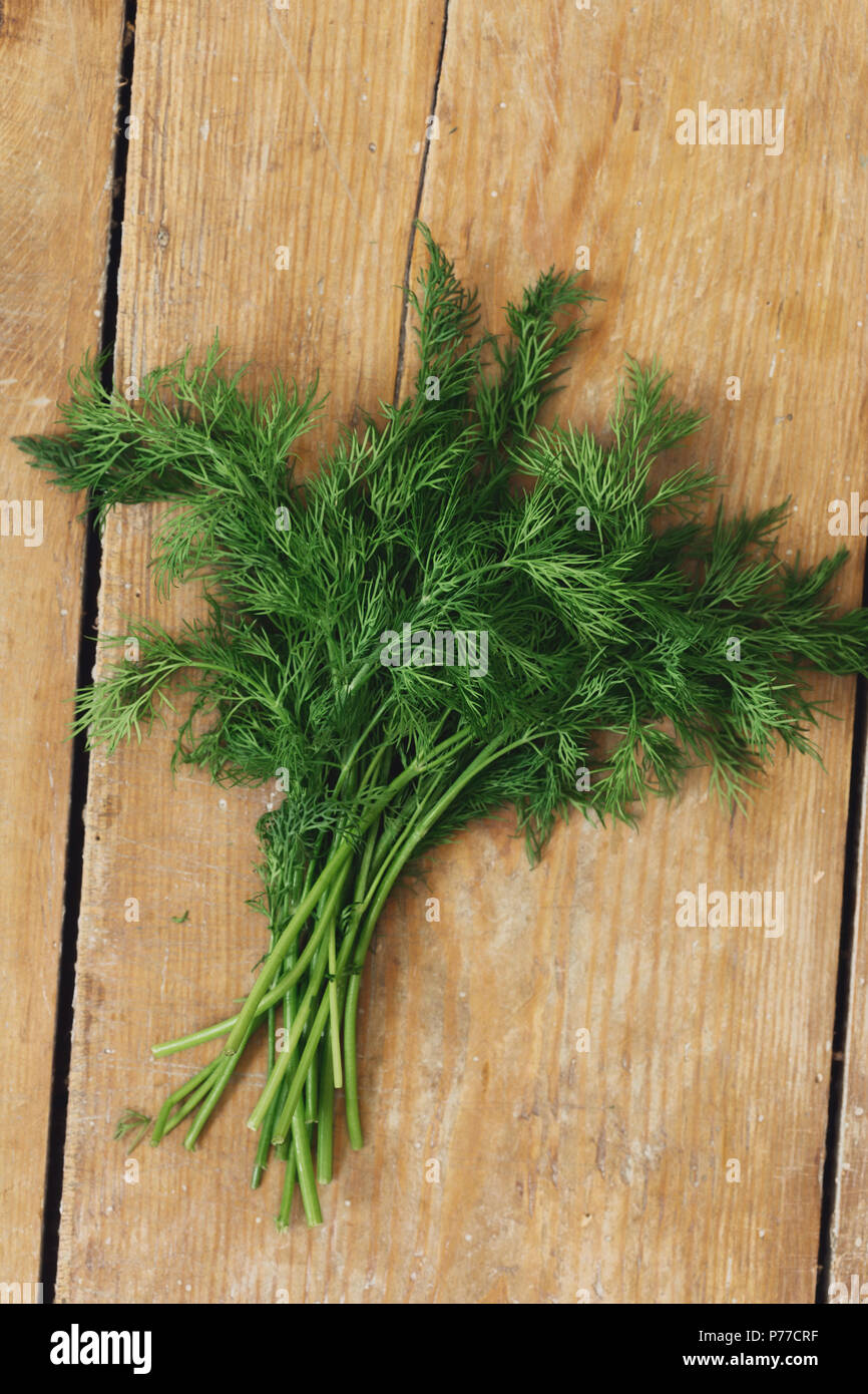 Top view fresh bunch hi-res stock photography and images - Alamy