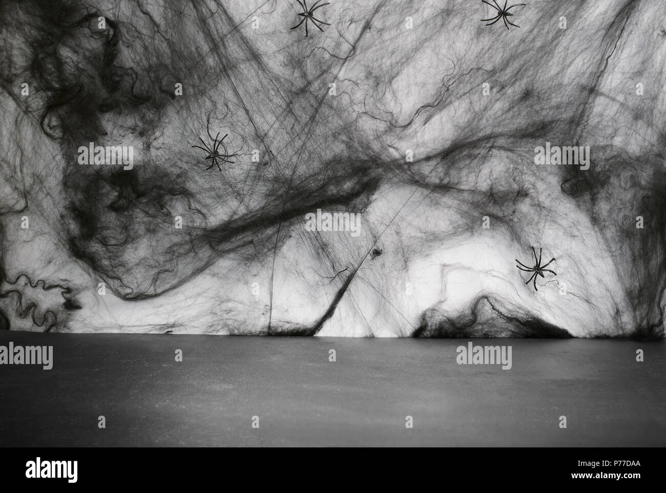 Cobweb with Black Spiders, Empty Table, Halloween Holiday Symbol Stock ...