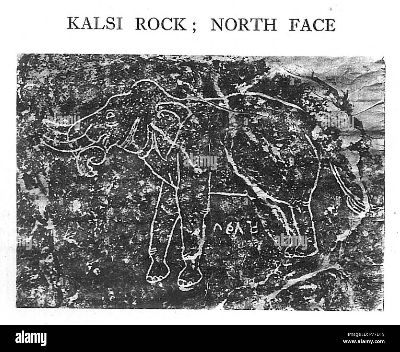 English: Kalsi inscription north face . 1 January 1925 41 Kalsi ...