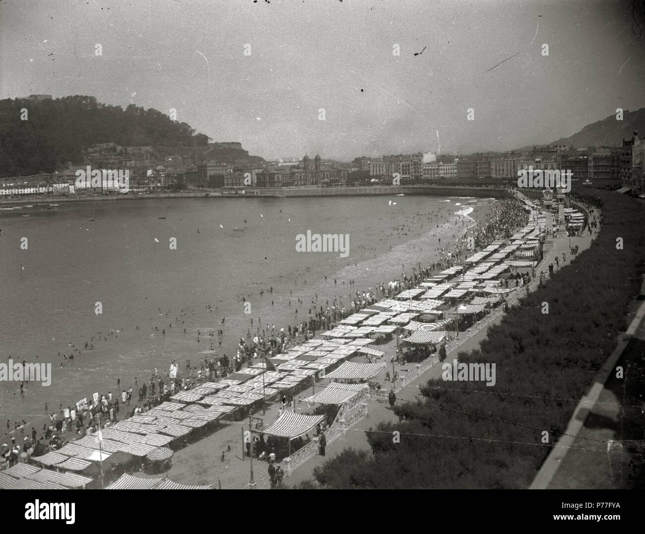 Fondo de concha hi-res stock photography and images - Alamy