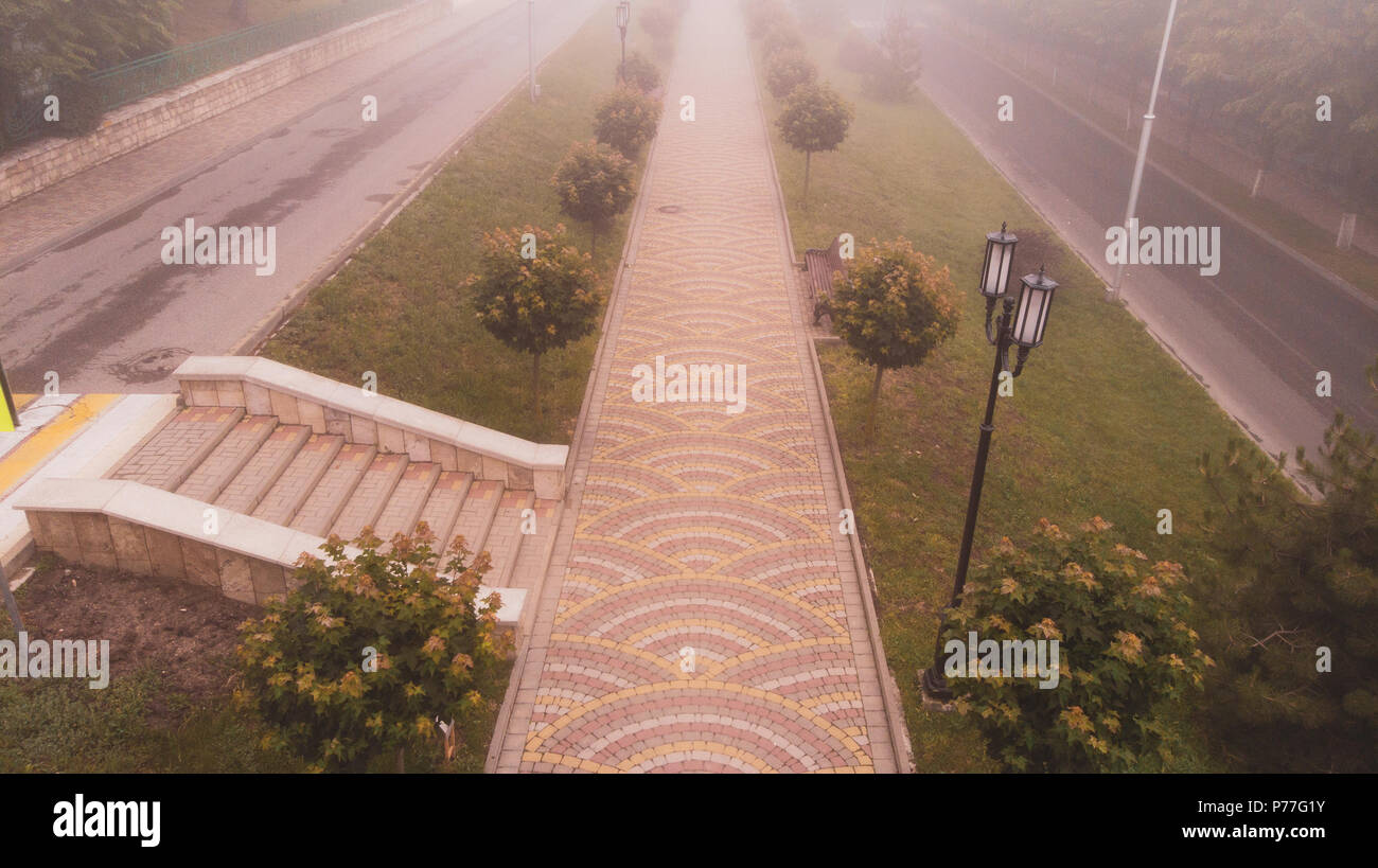 the road in the park reminds the royal path. The pedestrian path is ...