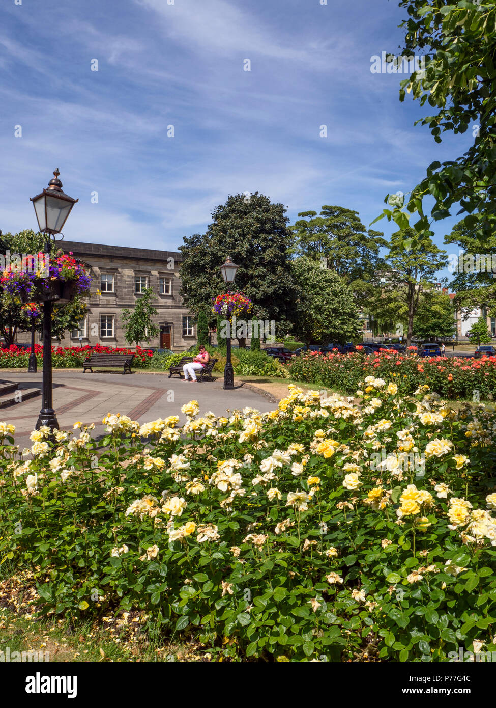 Roses in bloom in Crescent Gardens in summer Harrogate North Yorkshire ...