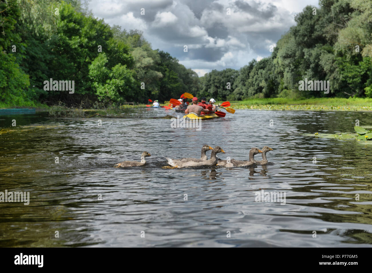 Sula River High Resolution Stock Photography and Images - Alamy