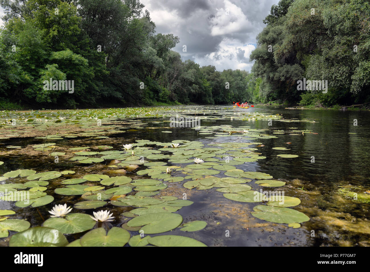 Sula river hi-res stock photography and images - Alamy