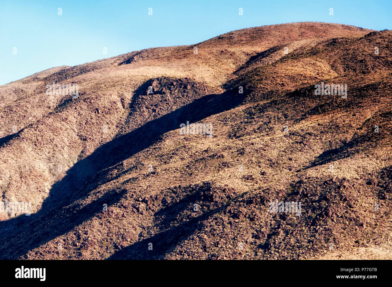 Pinto basin joshua tree hi-res stock photography and images - Alamy