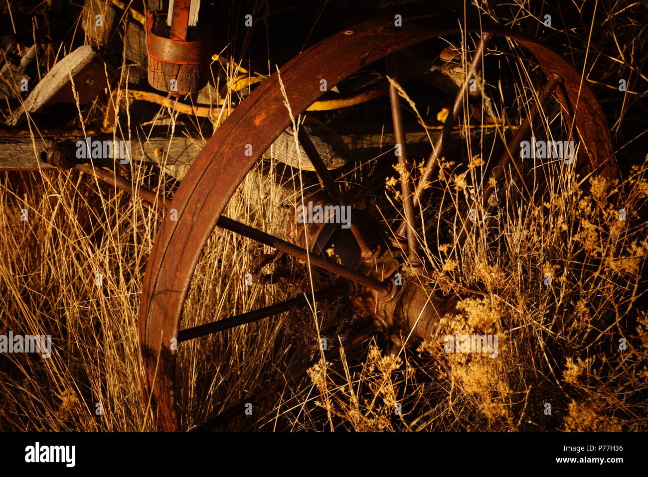 Forgotten Things High Resolution Stock Photography and Images - Alamy