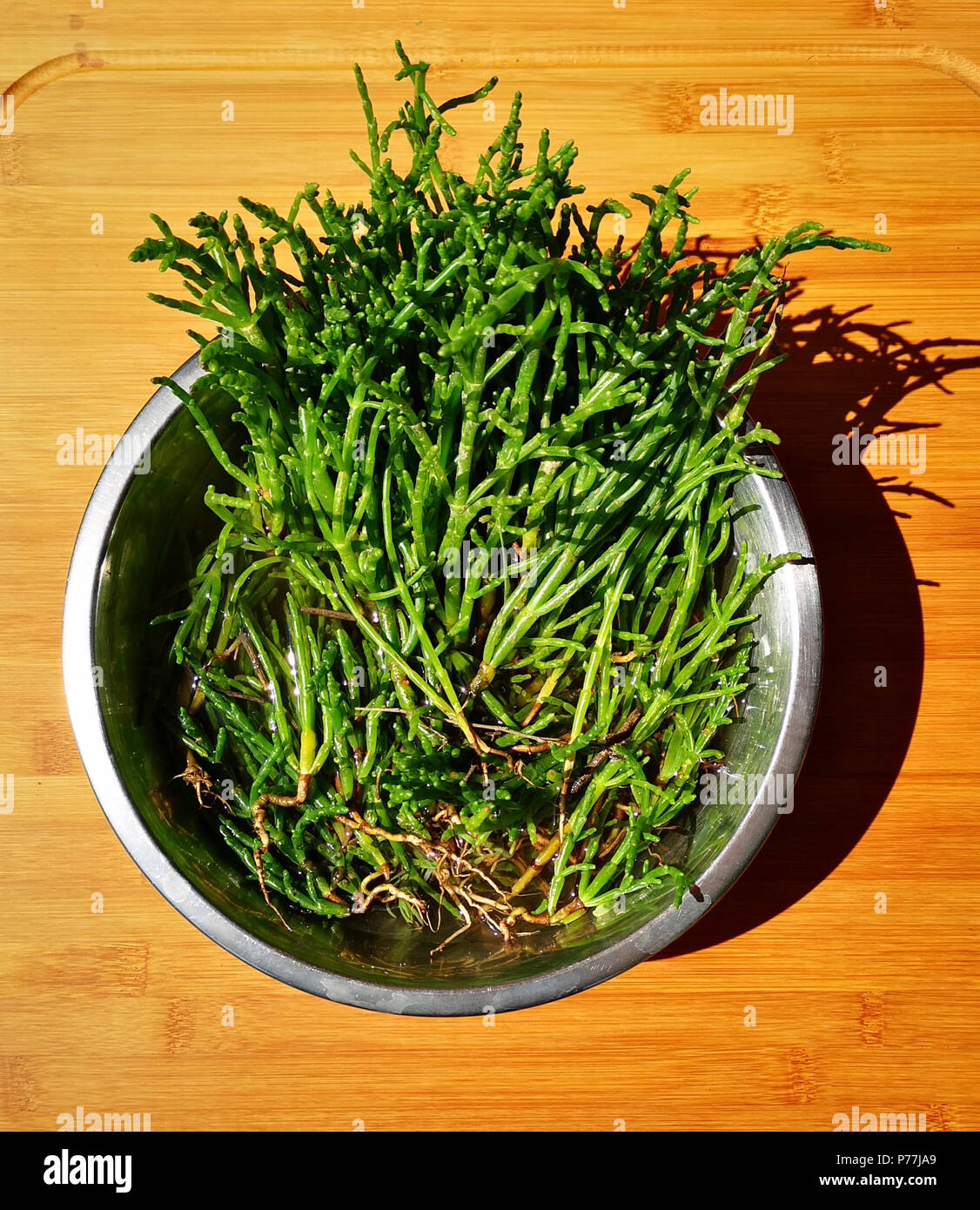 Marsh Samphire Stock Photos & Marsh Samphire Stock Images - Alamy