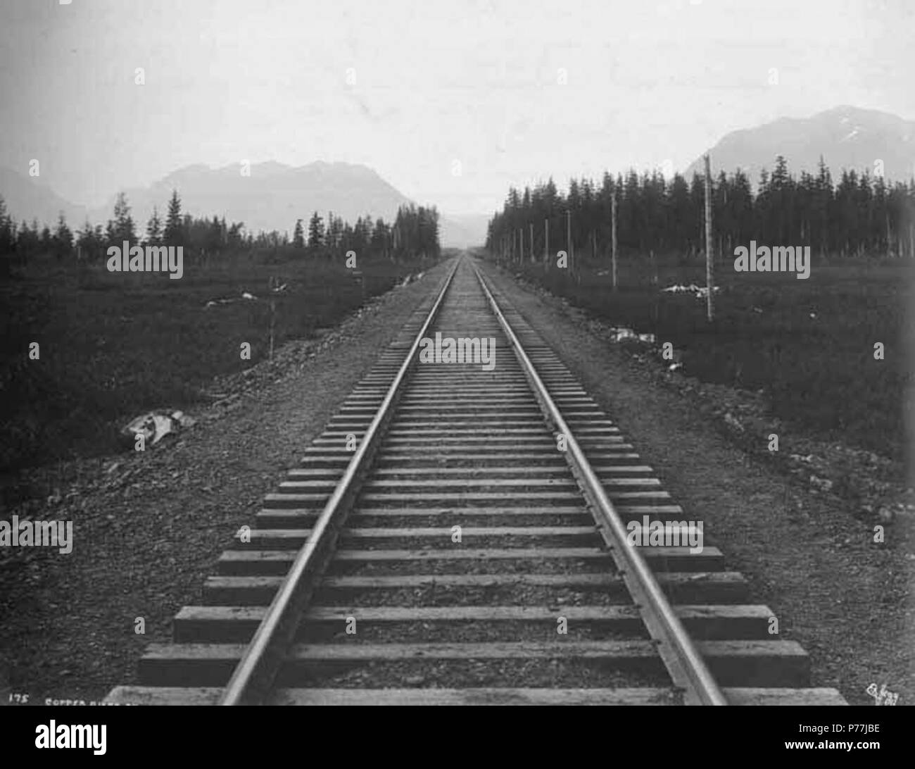 . English: Railroad tracks through forested area between Cordova and ...