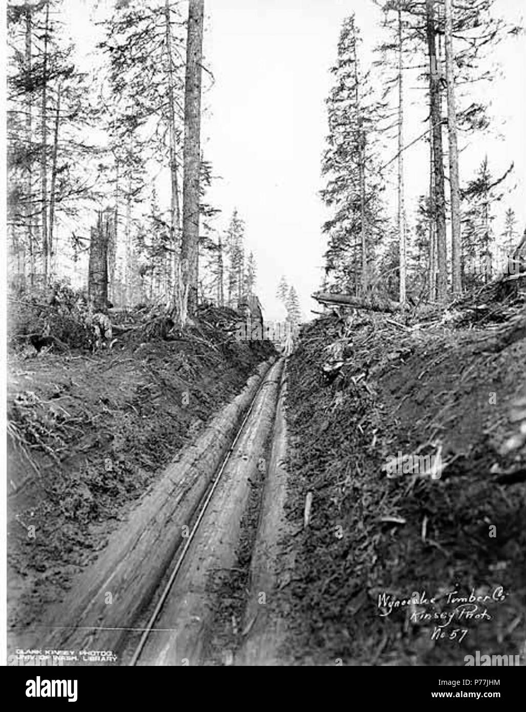 Logging road Black and White Stock Photos & Images - Alamy