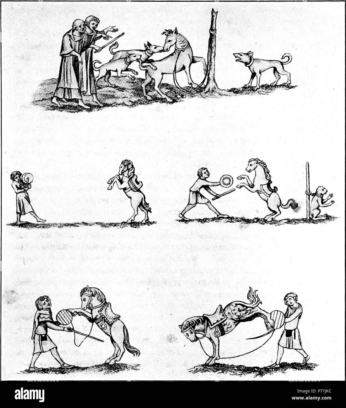 Sports animals Black and White Stock Photos & Images - Alamy