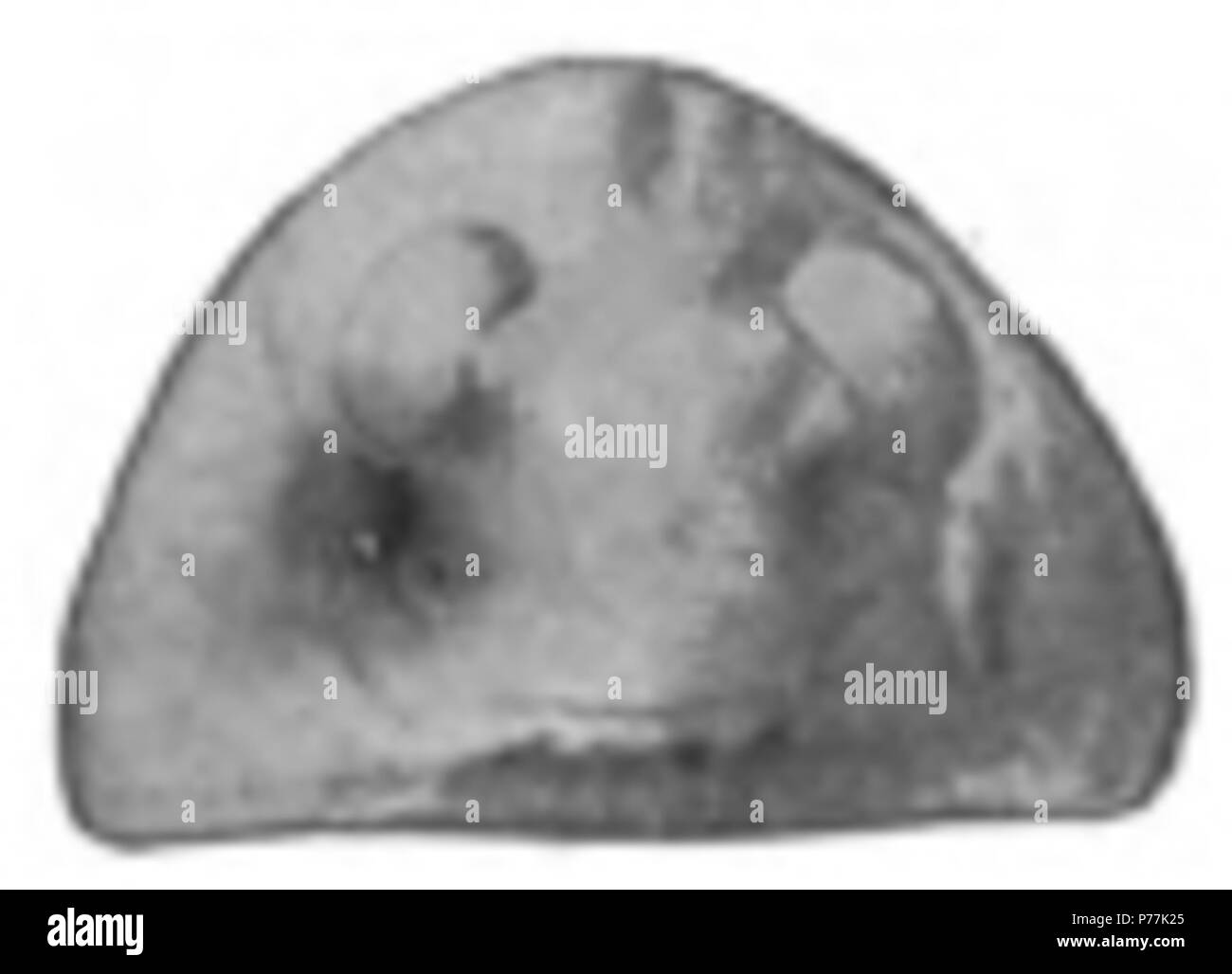 13 state Cut Out Stock Images & Pictures - Alamy