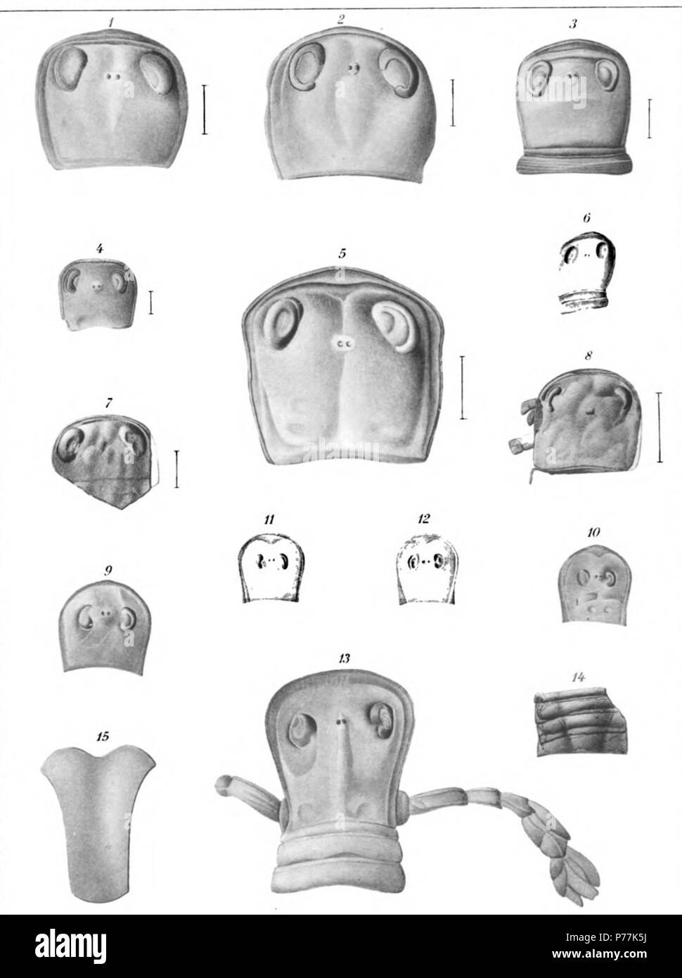 Large mound Black and White Stock Photos & Images - Alamy