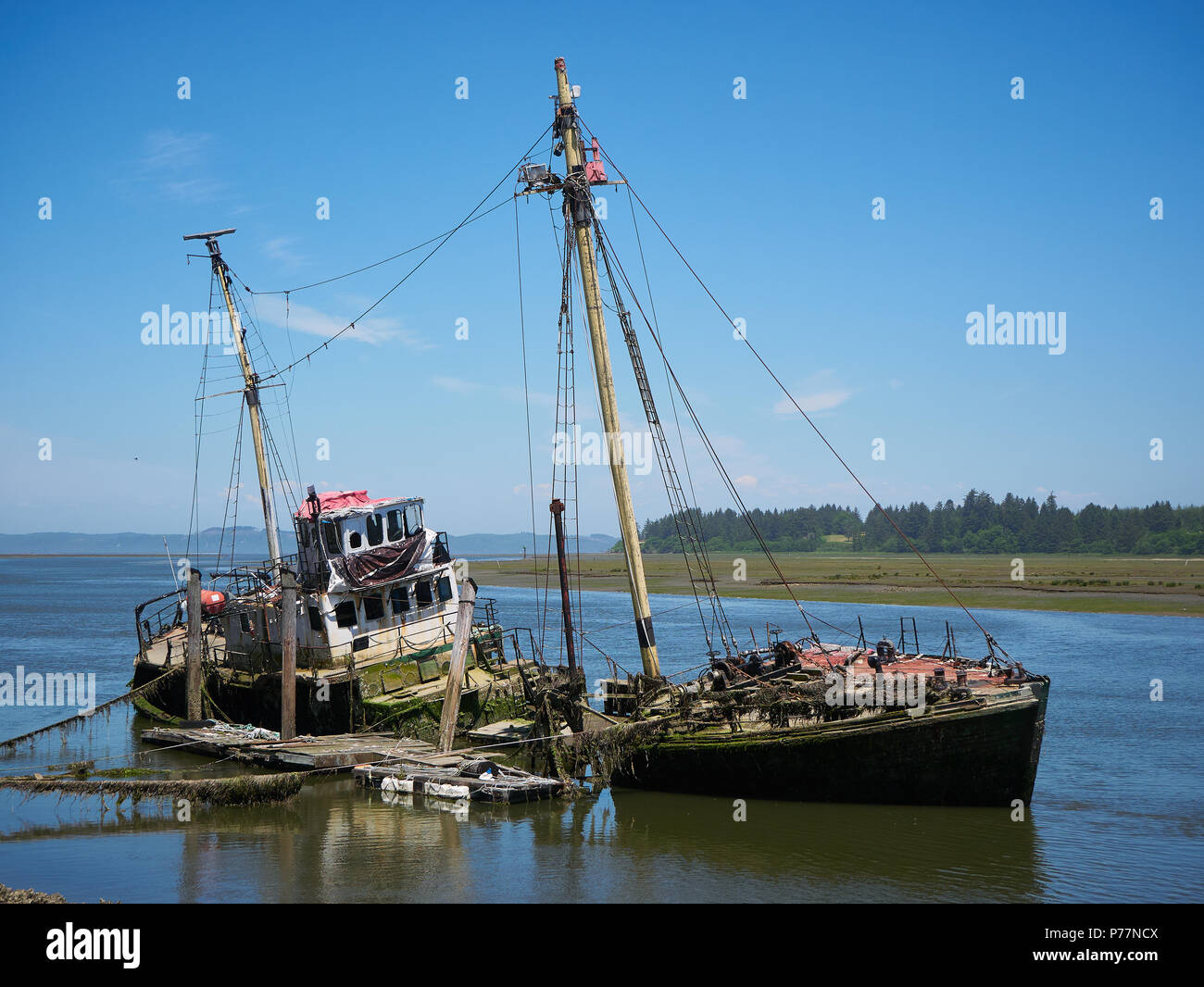 Willapa Bay High Resolution Stock Photography and Images - Alamy