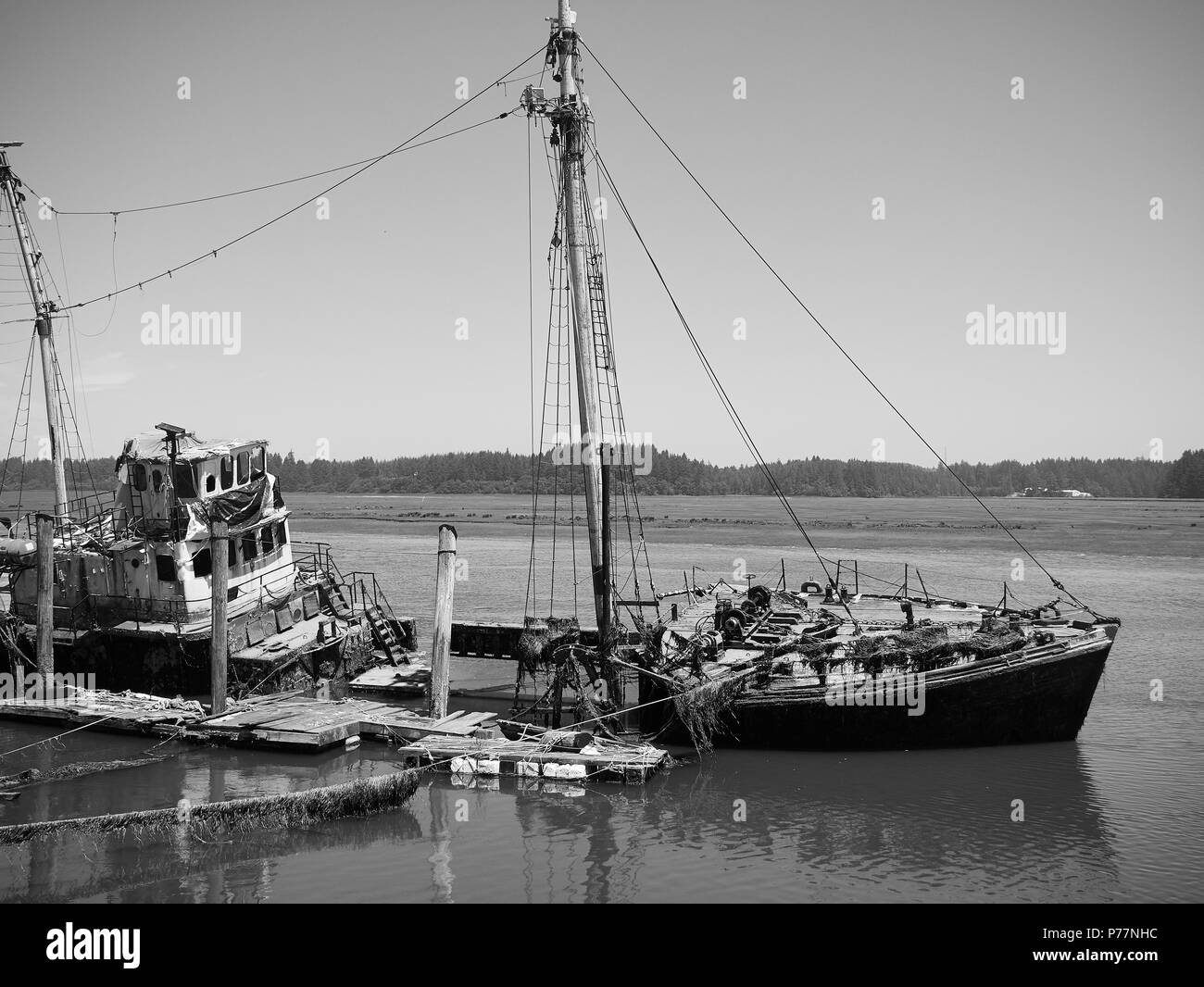 Willapa bay hi-res stock photography and images - Alamy