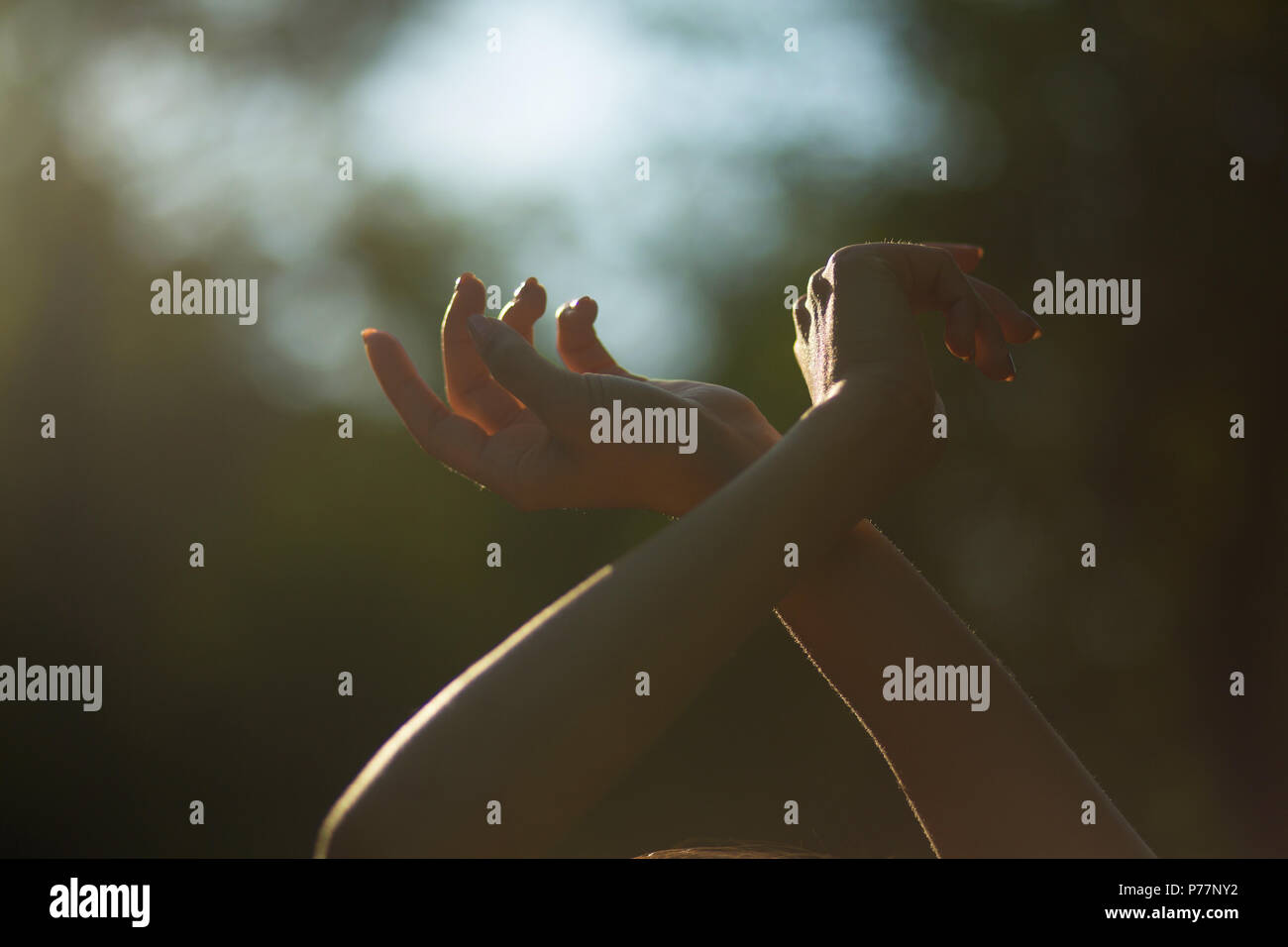 Sunlight glow hi-res stock photography and images - Alamy