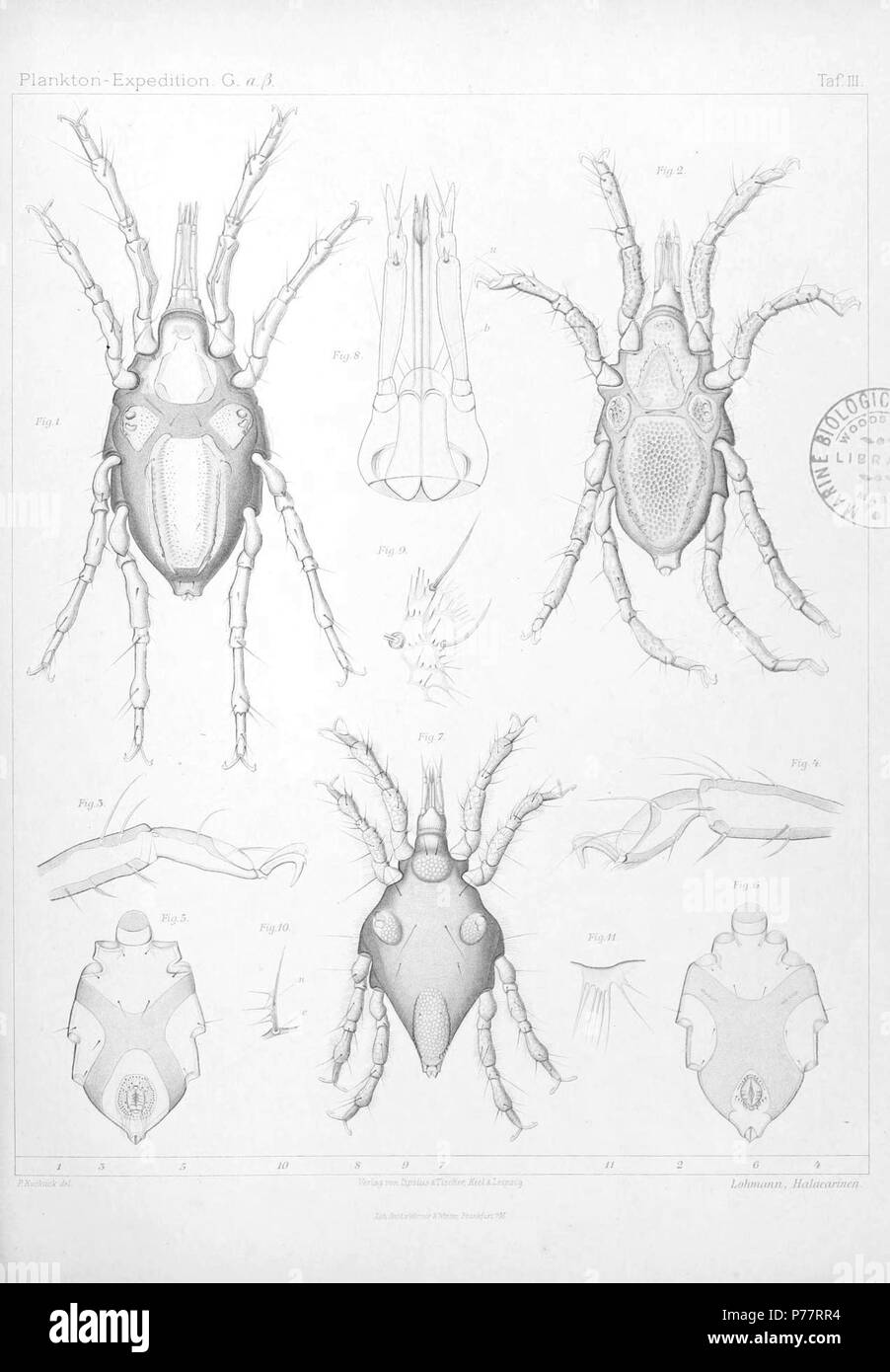 Expedition report Black and White Stock Photos & Images - Alamy