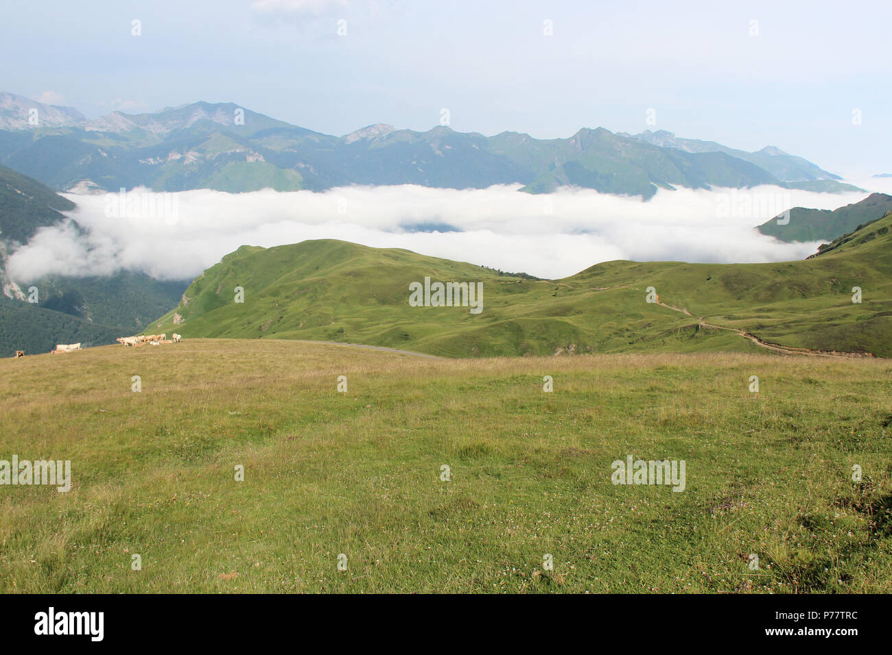 The col d'Aubisque in the Pyrénées (France Stock Photo - Alamy