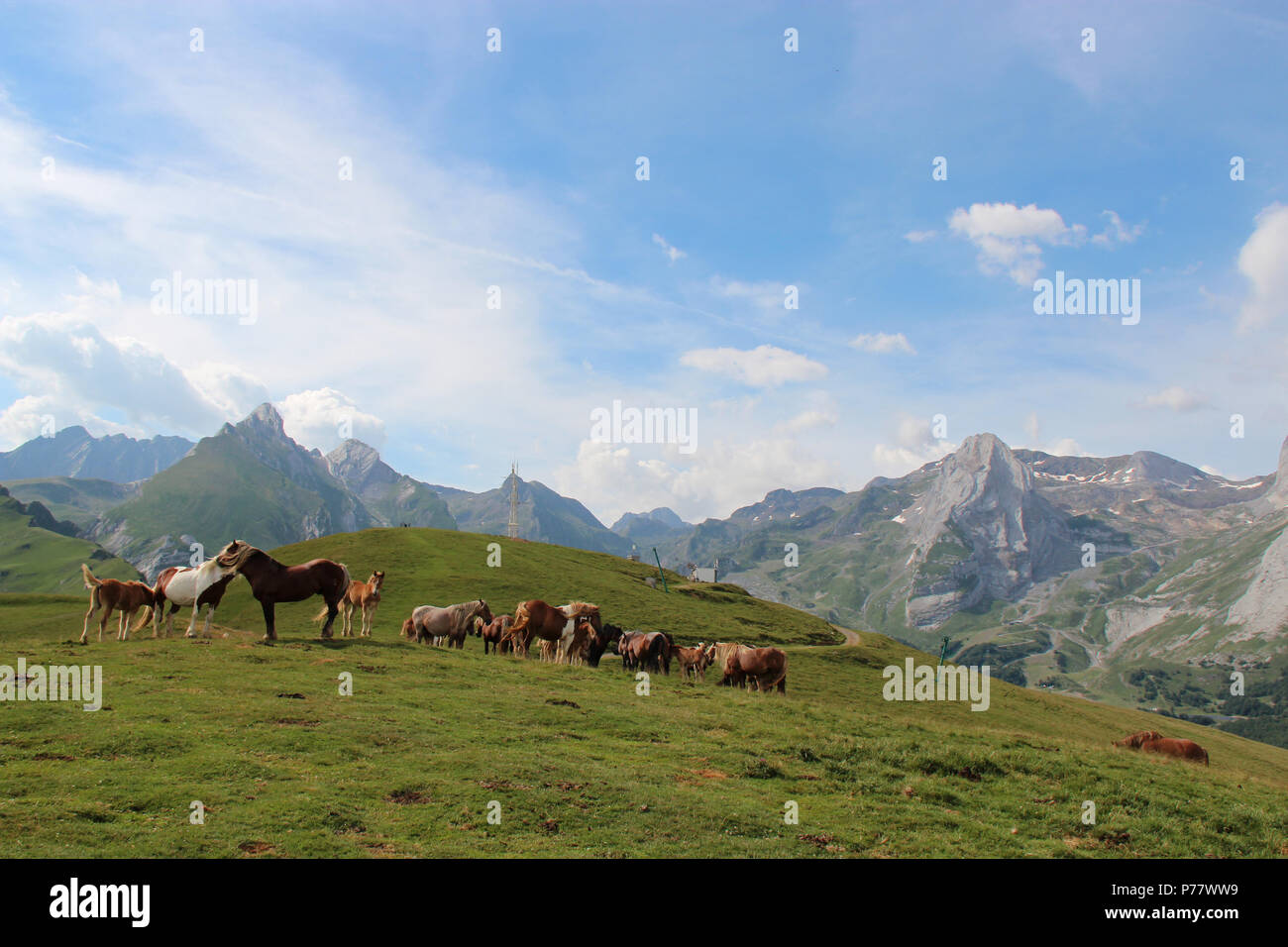 The col d'Aubisque in the Pyrénées (France Stock Photo - Alamy