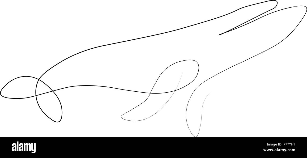 Whale one line. Vector illustration. Isolated white background Stock ...