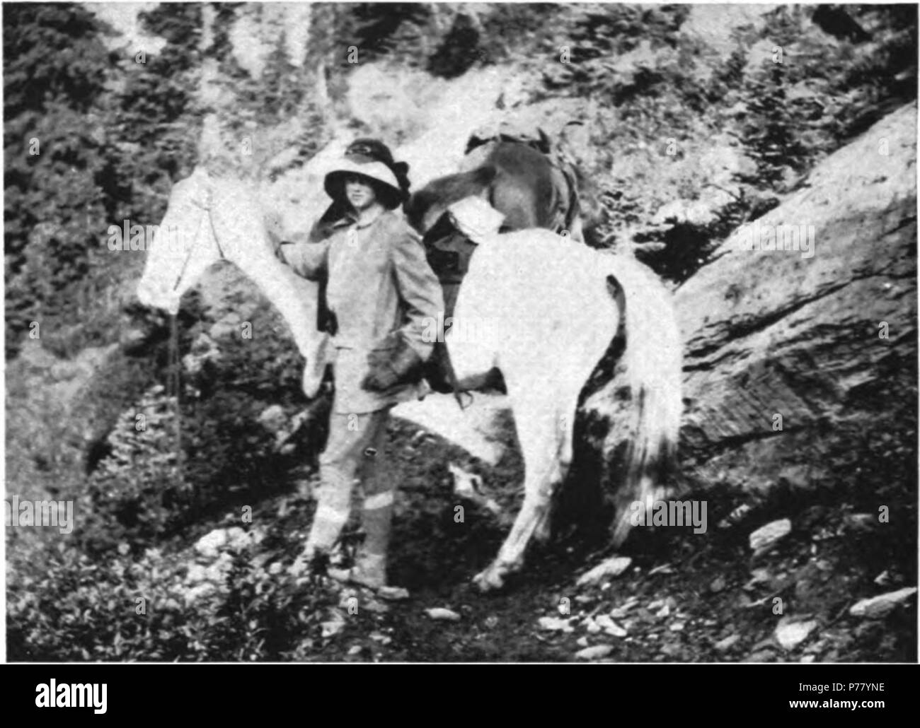 Charles d walcott hi-res stock photography and images - Alamy