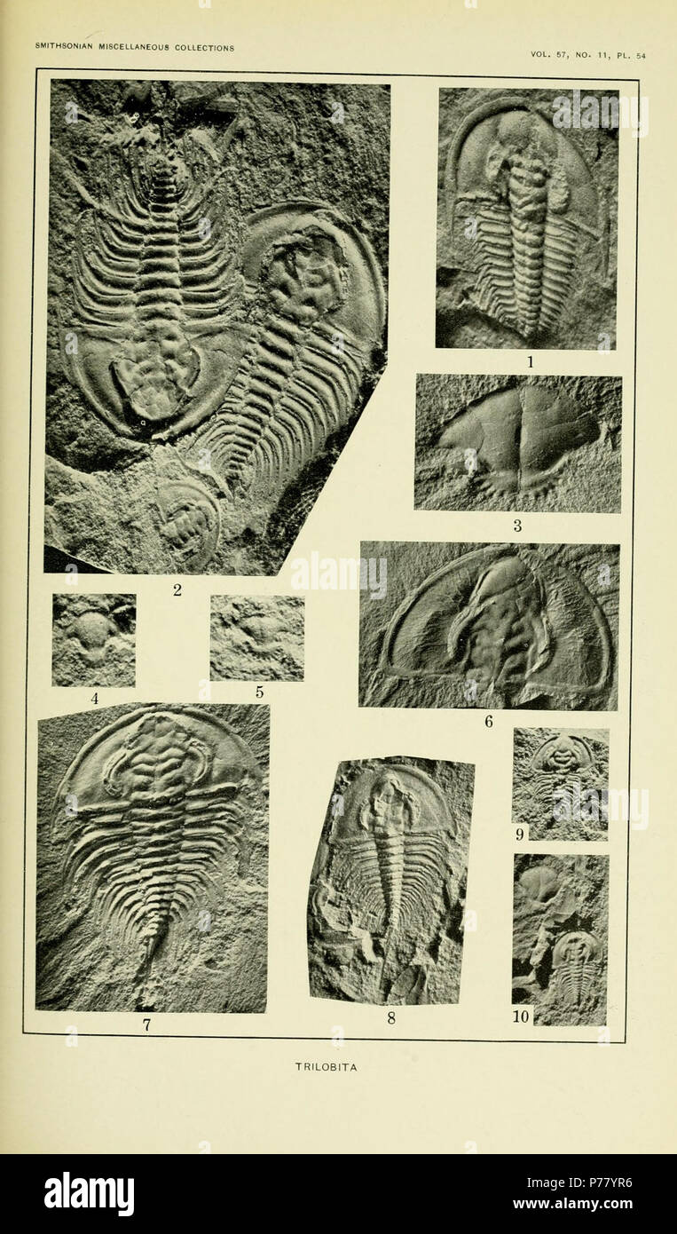 Holmia hi-res stock photography and images - Alamy