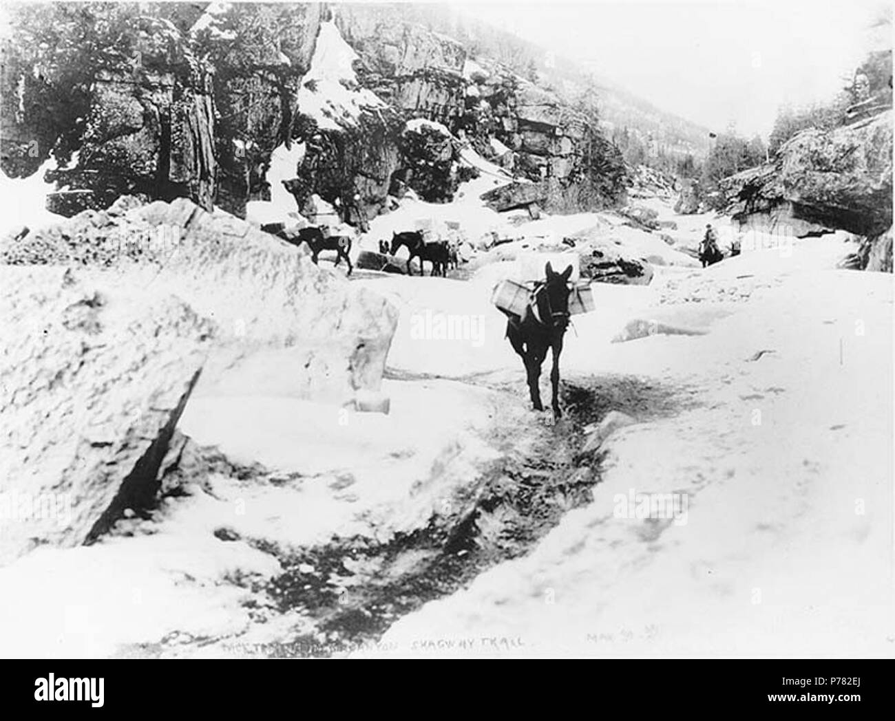 8 10 99 Black and White Stock Photos & Images - Alamy