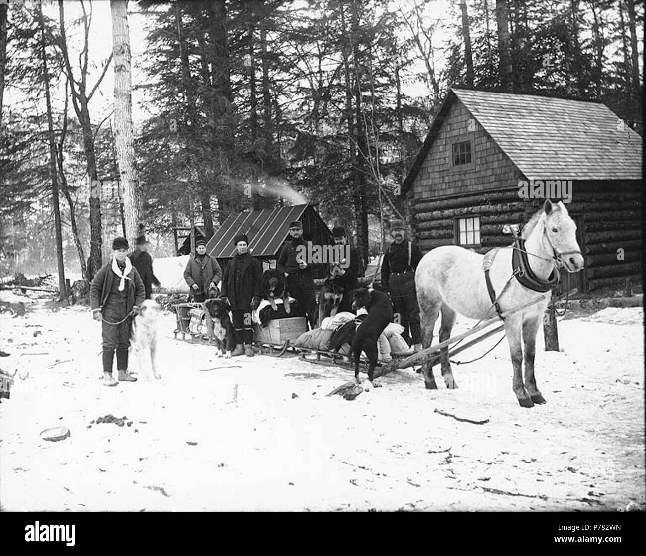 . English: Presbyterian missionaries with horse drawn sled waiting to ...