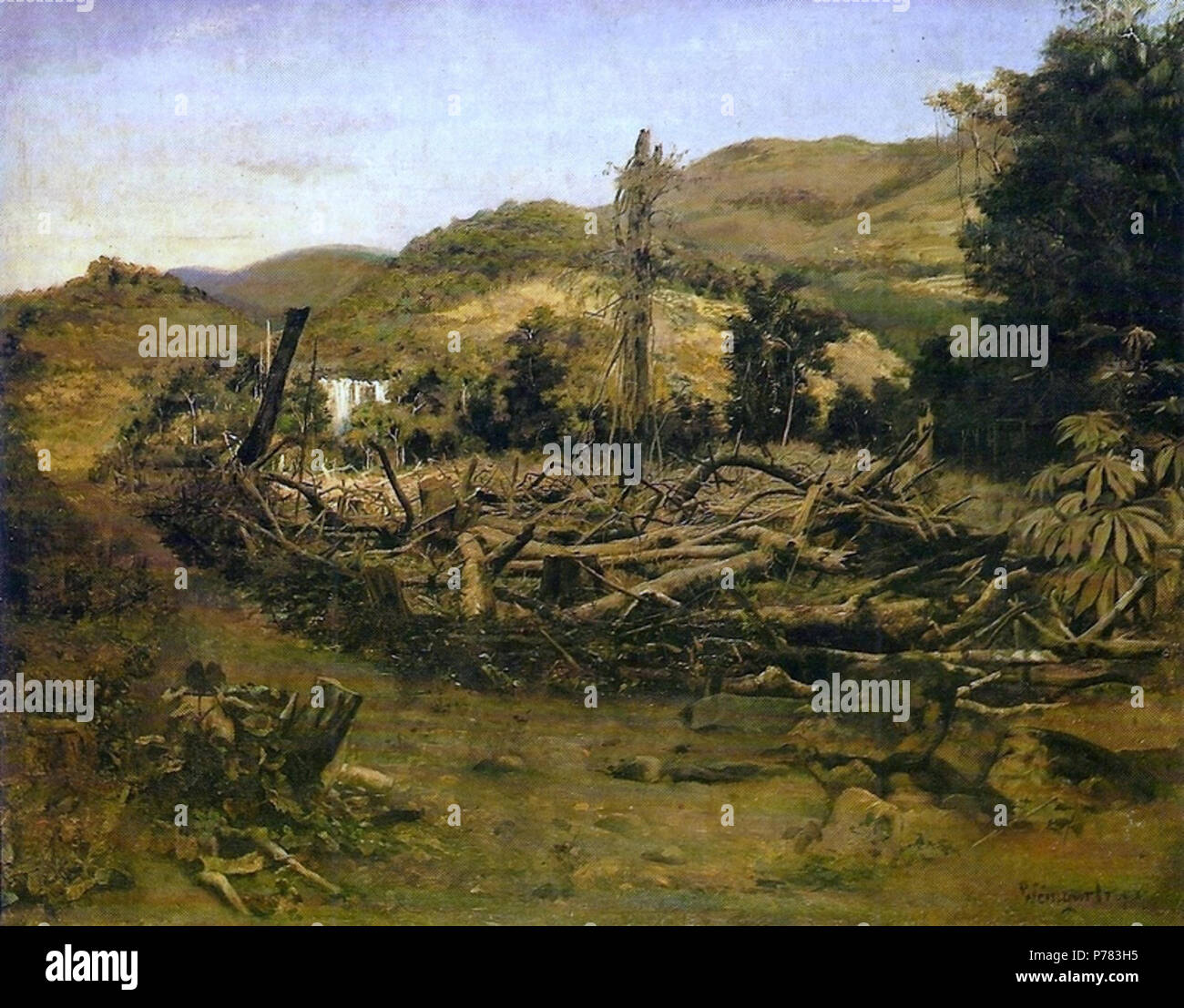 Felling trees 19th hi-res stock photography and images - Alamy