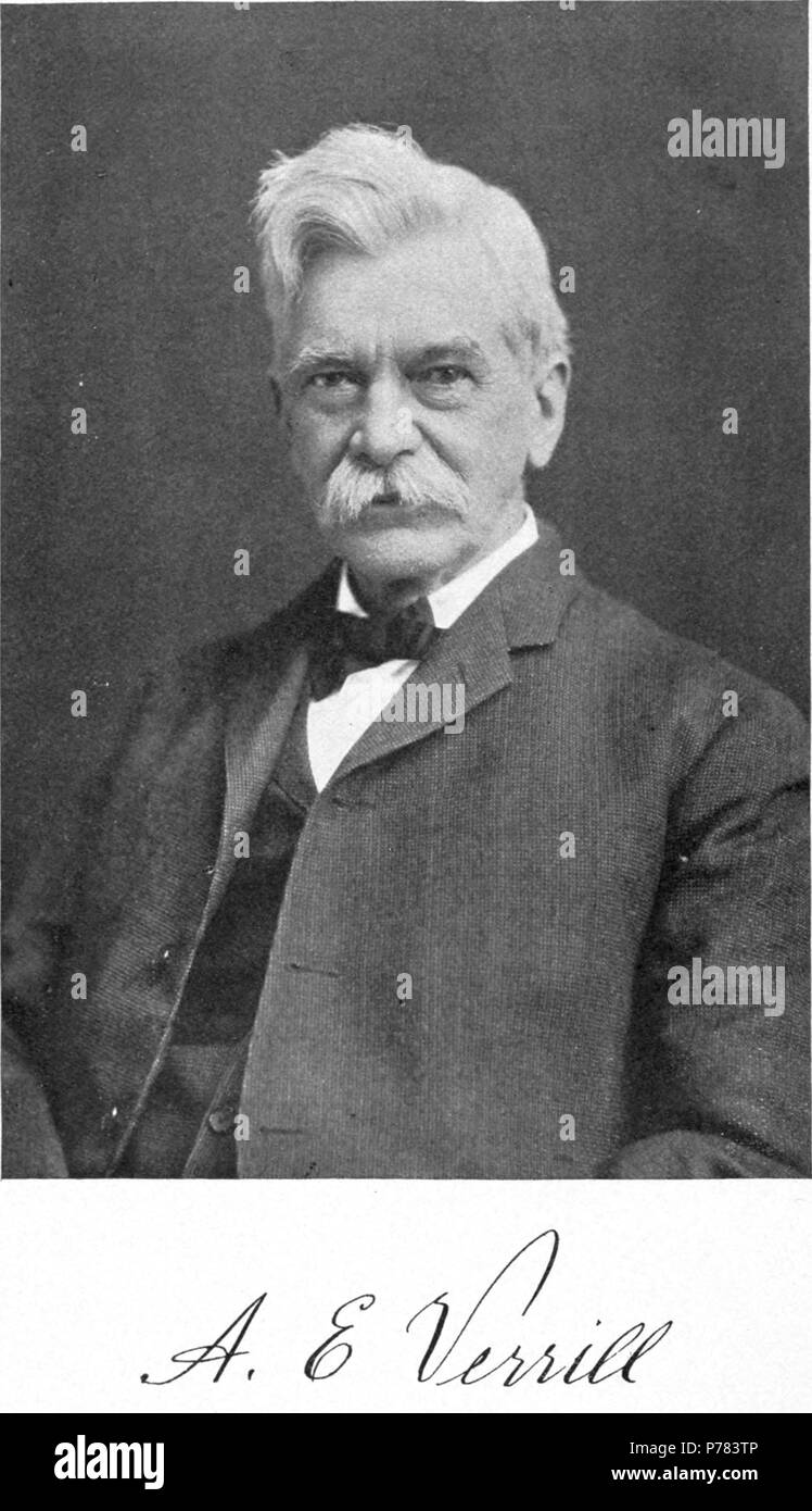 Addison emery verrill hi-res stock photography and images - Alamy