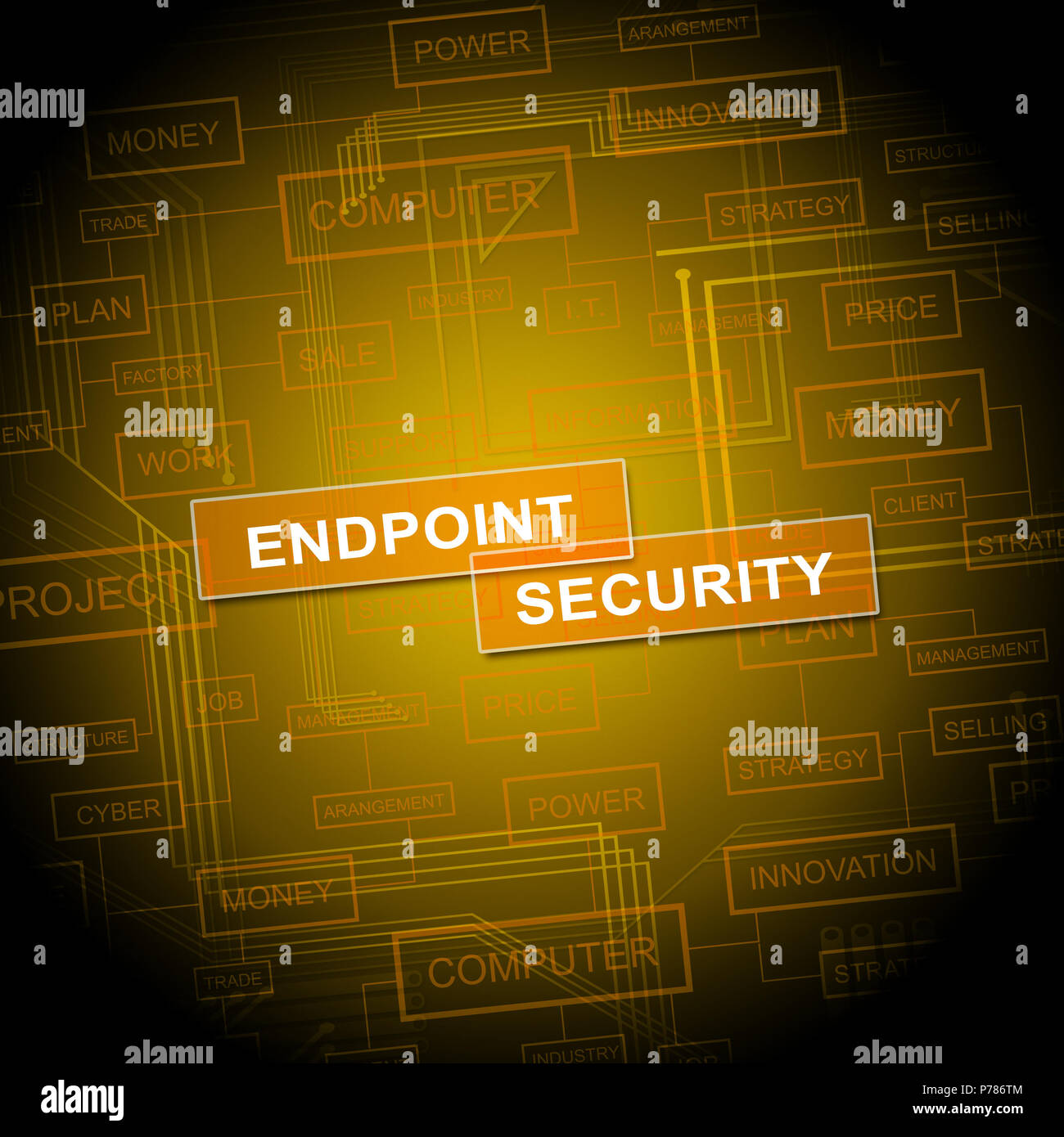 Endpoint Security Safe System Shows Safeguard Against Virtual Internet ...