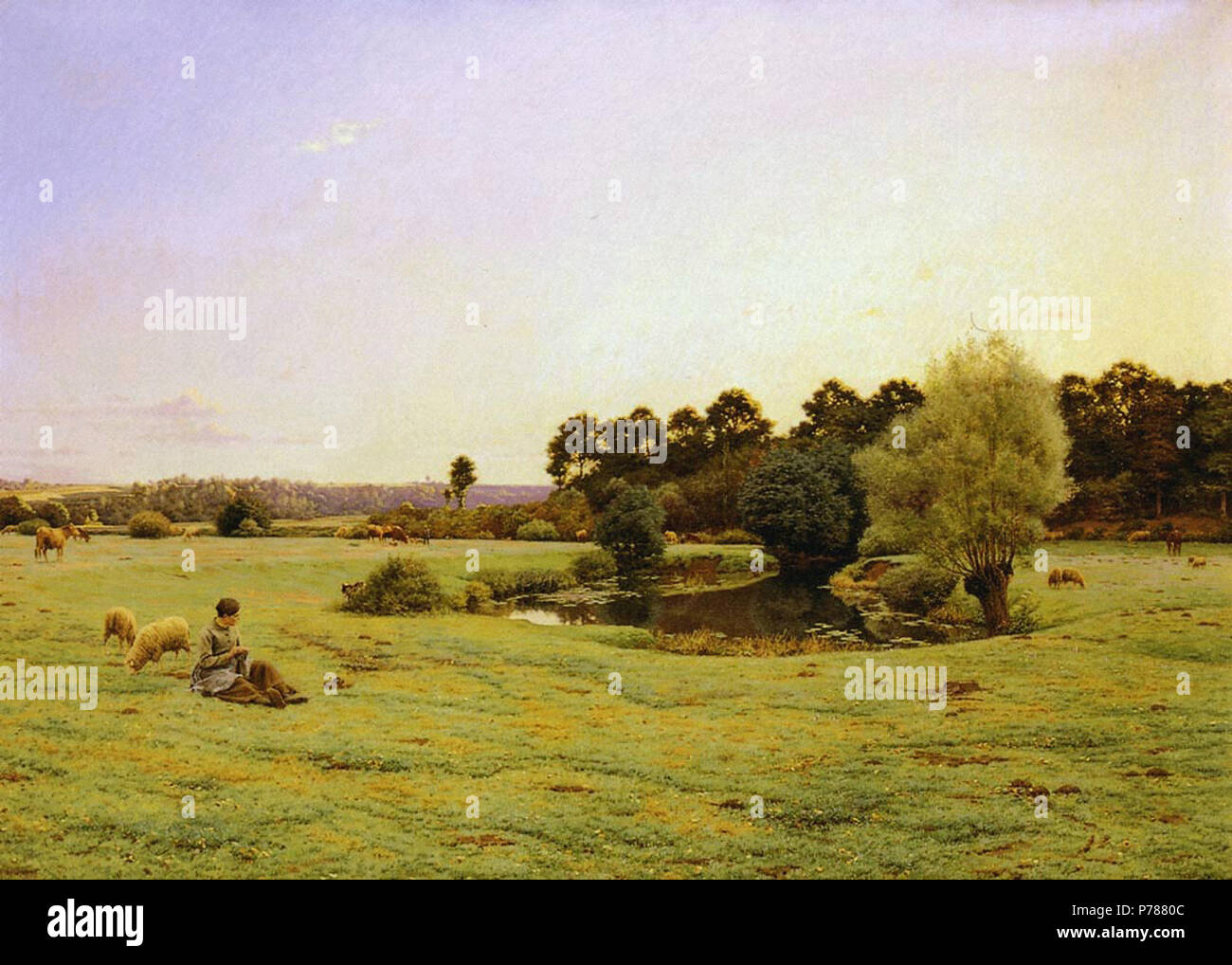 Le paturage hi-res stock photography and images - Alamy