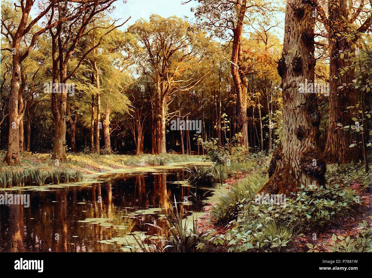 Monsted Peder Mork - a Forest Stream 1 Stock Photo - Alamy