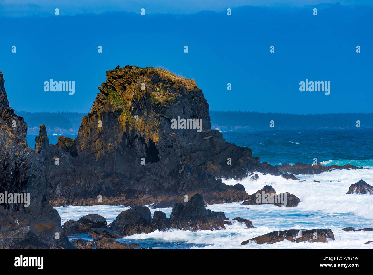Jagged rocks jut out to sea along the rugged Alaskan coastline Stock ...