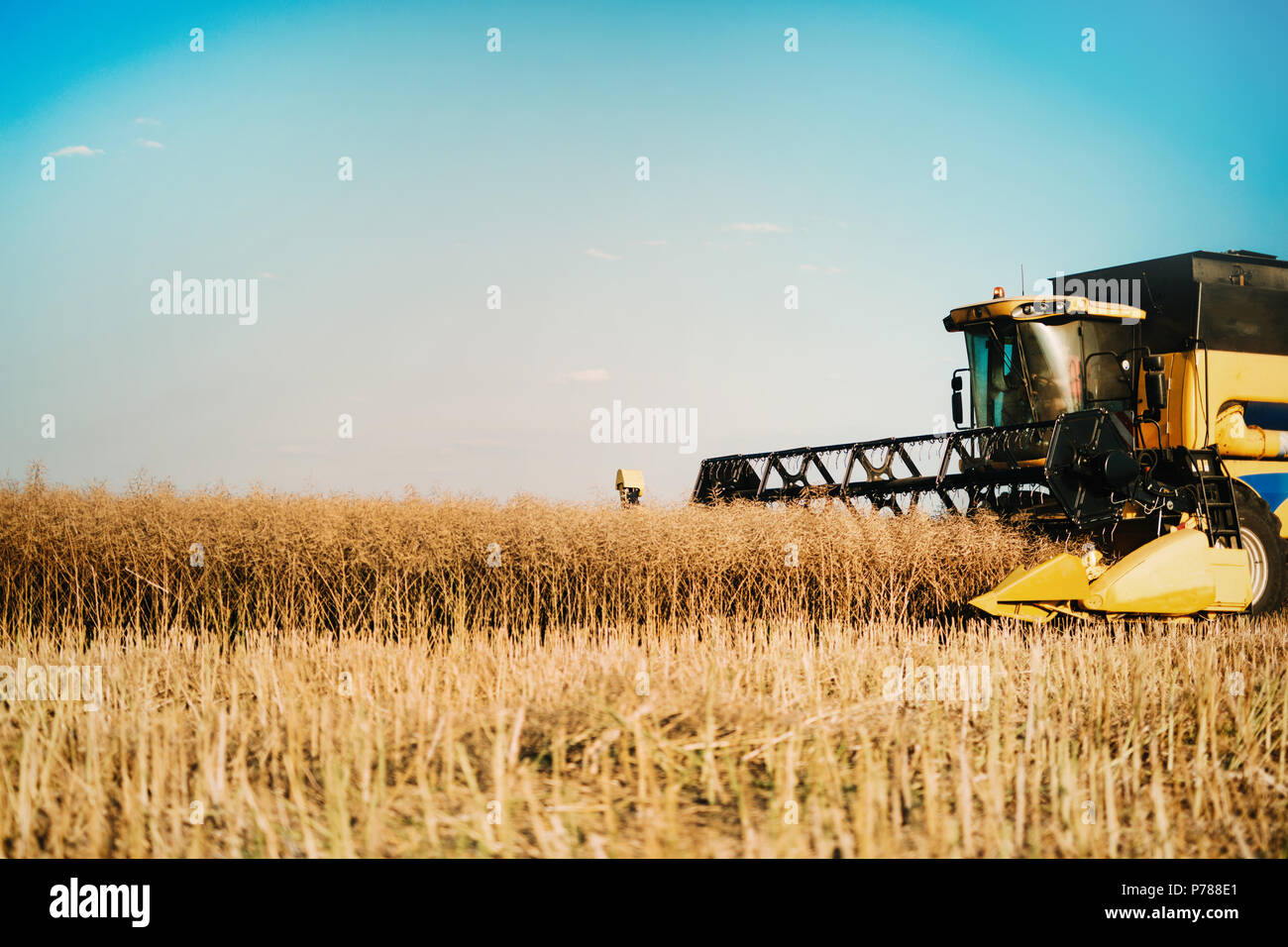 Picture of combine harvester machine harvesting crops Stock Photo - Alamy