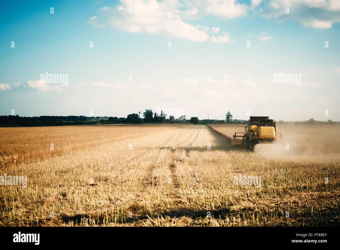 Picture of combine harvester machine harvesting crops Stock Photo - Alamy