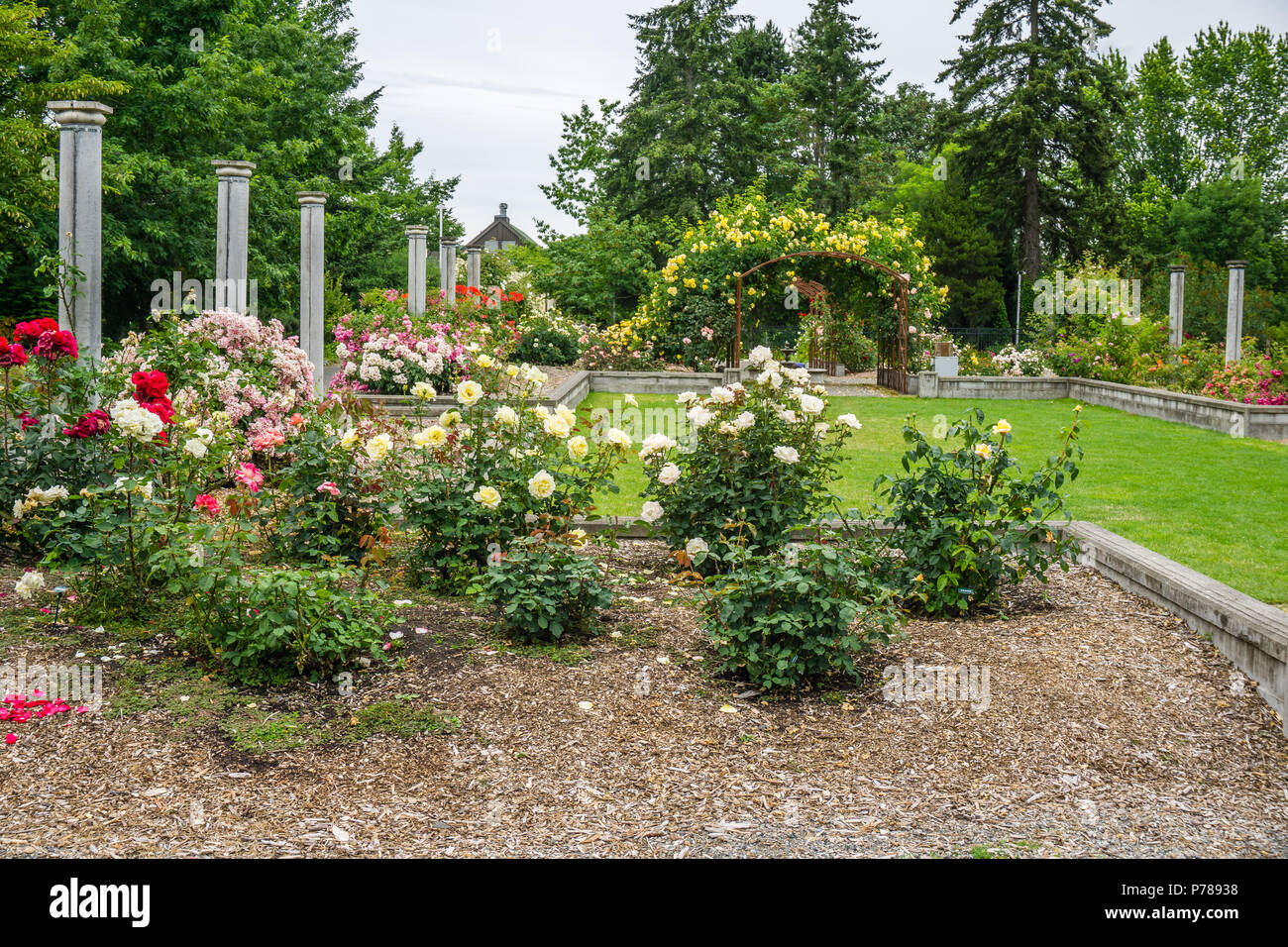 Garden in surrounds hi-res stock photography and images - Alamy