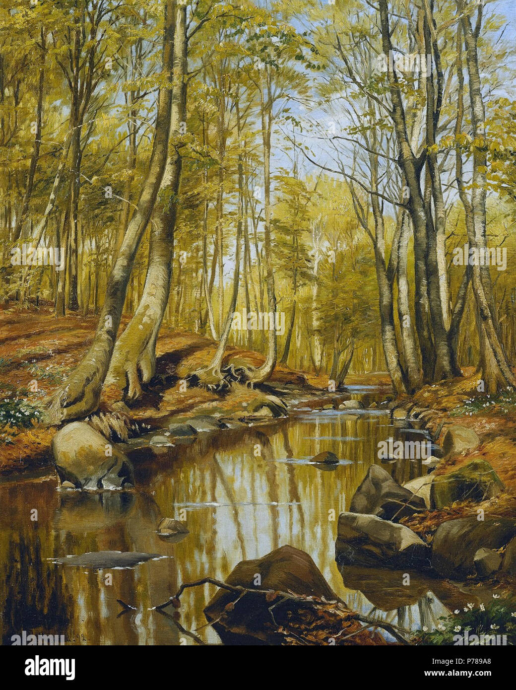 Monsted Peder Mork - Forest Stream 5 Stock Photo - Alamy