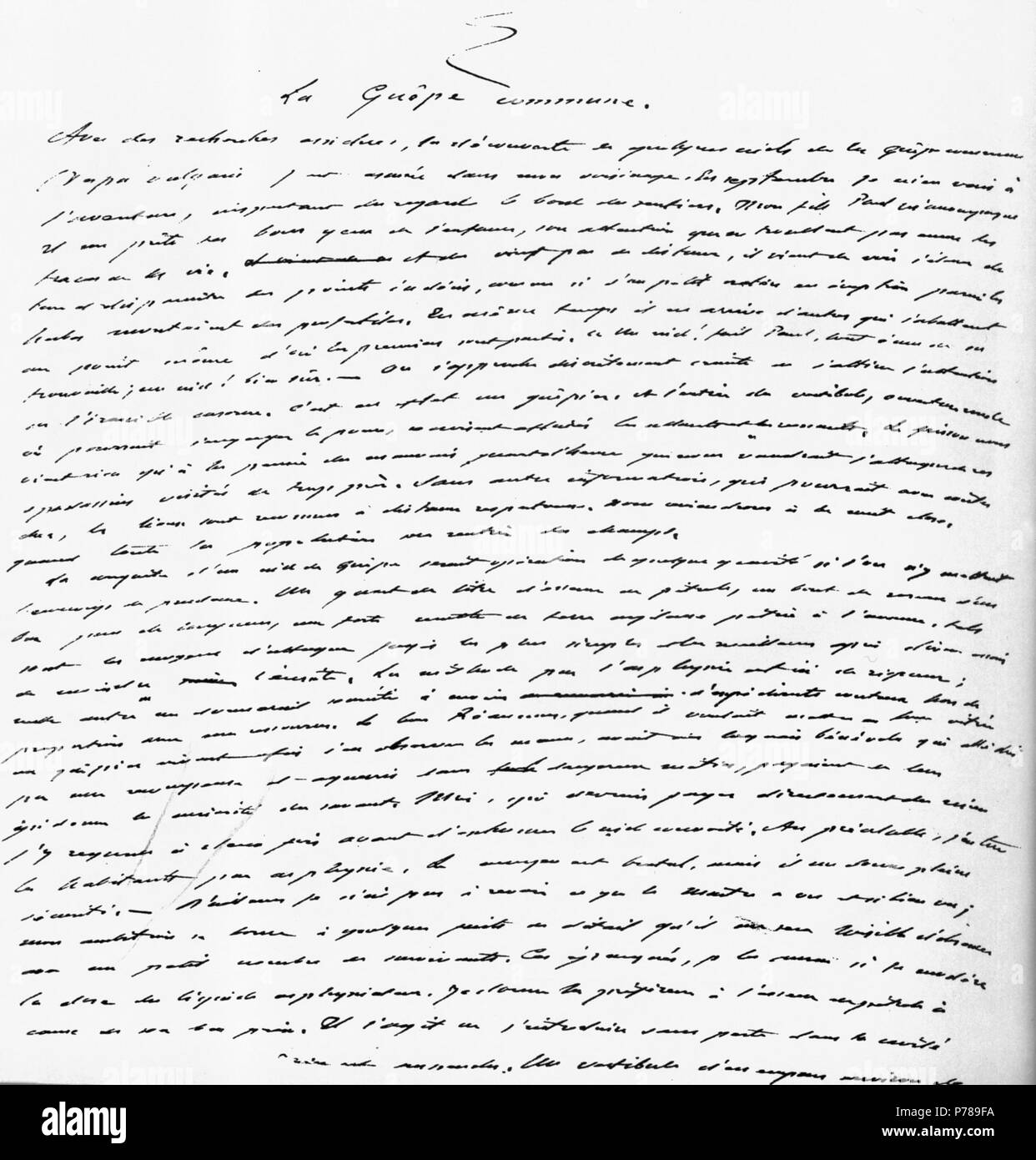 Deutsch: Handgeschriebenes Manuskript von Jean-Henri Fabre, English ...