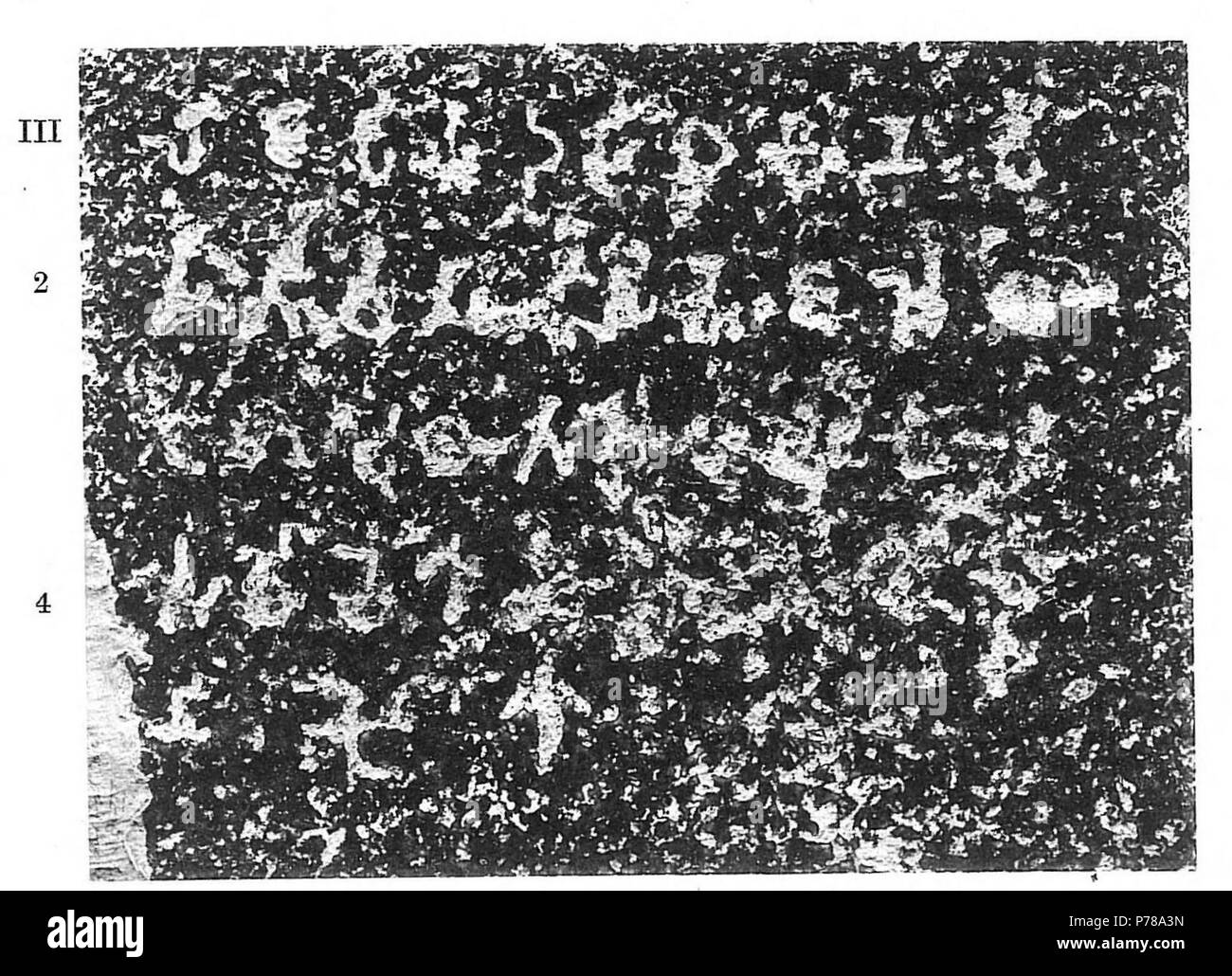 English: Inscription of Karna Chaupar cave . 9 May 2018 38 Inscription ...